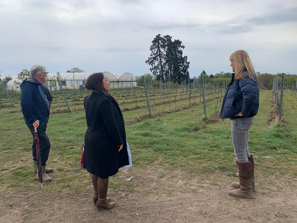 Visit from MP for Enfield North - fortyhallvineyard